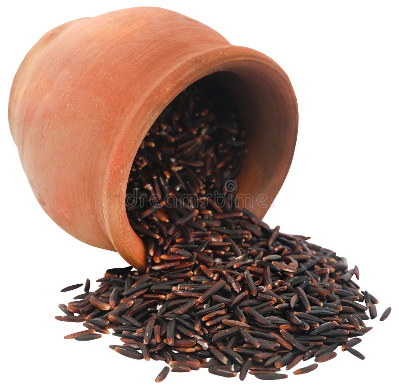 Black Jasmine rice stock image. Image of view, nourishment - 348674423