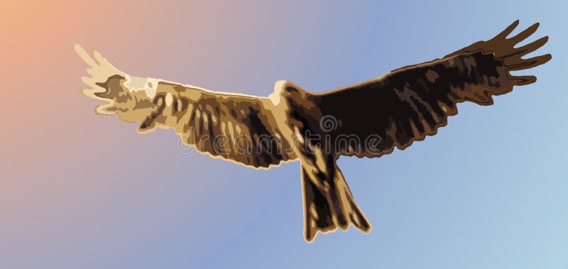 Strong Wings Abstract Bold Color Logo Stock Vector - Illustration of ...