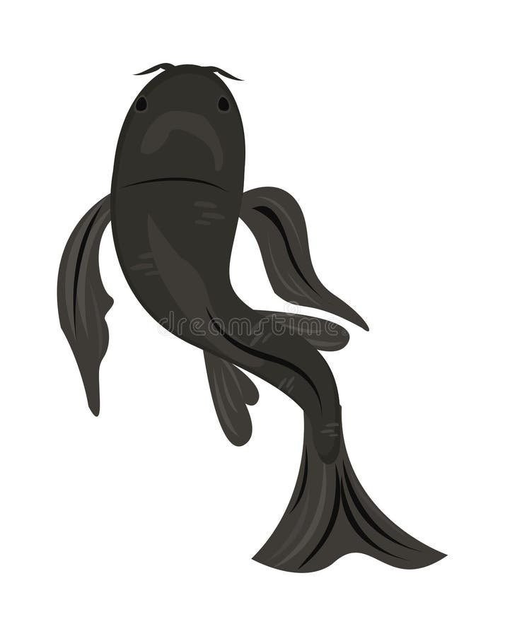 Black koi fish stock vector. Illustration of fish, japan - 224565221