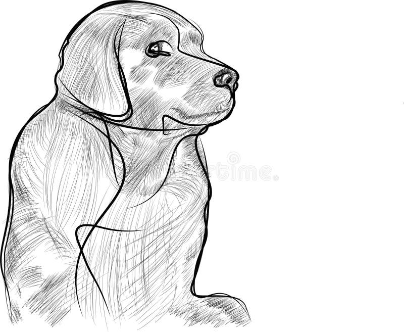 Dog Line Art Black Lab Stock Illustrations – 180 Dog Line Art Black Lab ...