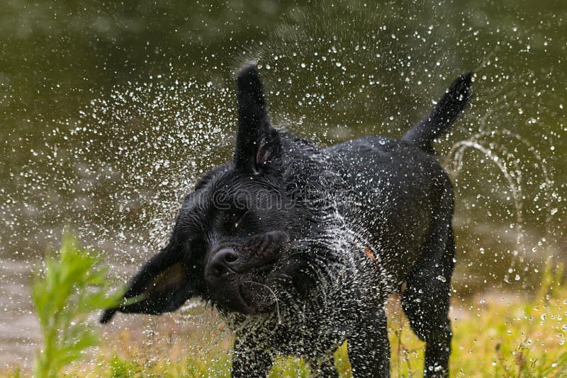 1,971 Lab Splash Stock Photos - Free & Royalty-Free Stock Photos from ...