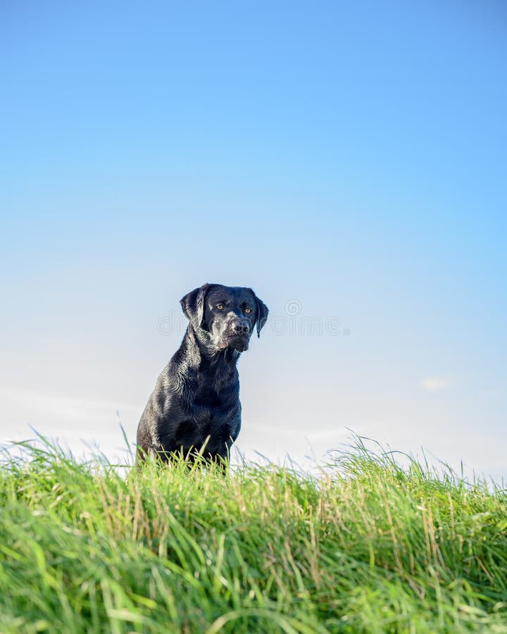 Autism Detection Stock Photos - Free & Royalty-Free Stock Photos from ...