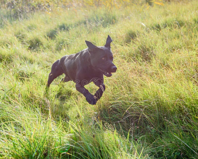 Autism Detection Stock Photos - Free & Royalty-Free Stock Photos from ...