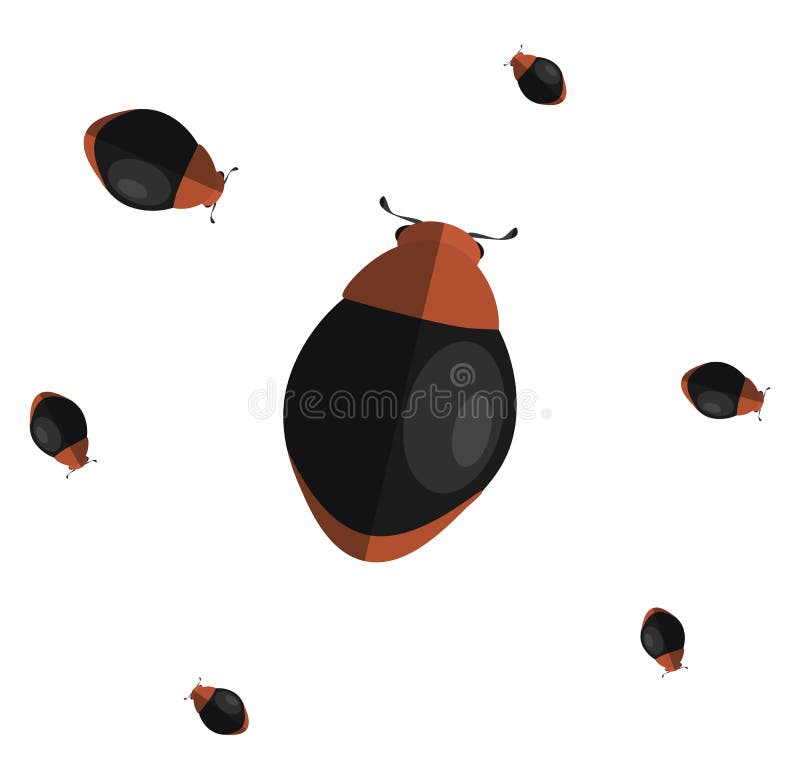 Black Ladybug Crawling on Six Legs with Red Spots Stock Vector ...