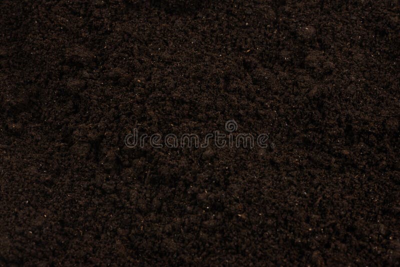 Black Land for Plant Isolated on White Background Stock Image - Image ...