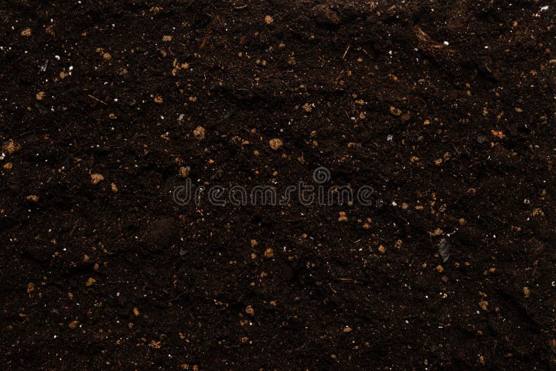 Black Land for Plant Background Stock Image - Image of plant, reservoir ...