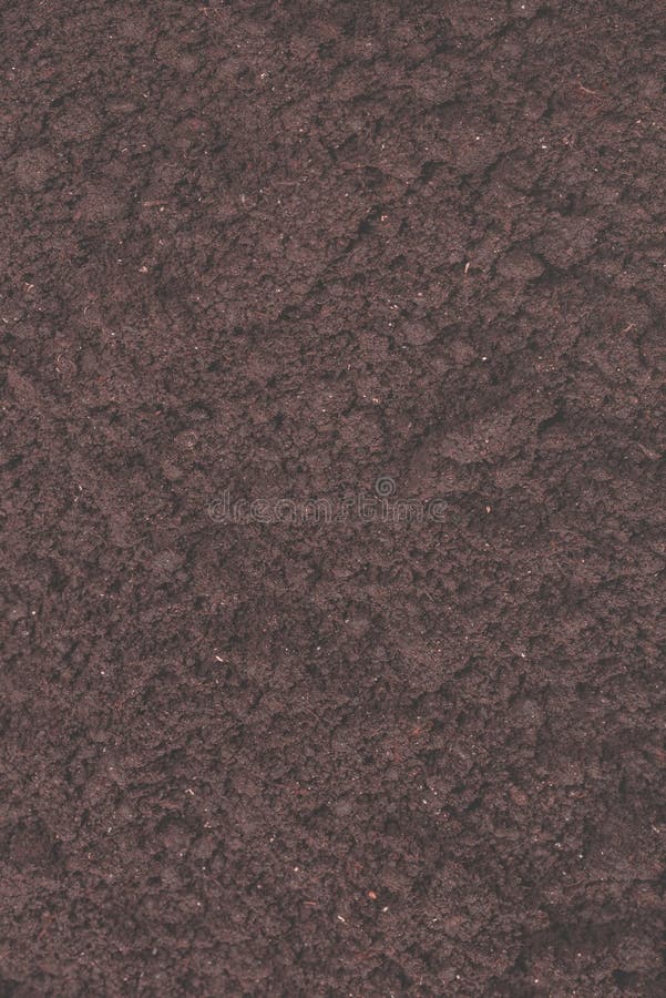 Black Land for Plant Isolated on White Background Stock Photo - Image ...