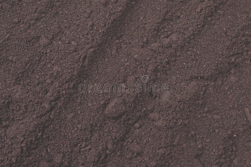 Black Land for Plant Isolated on White Background Stock Image - Image ...