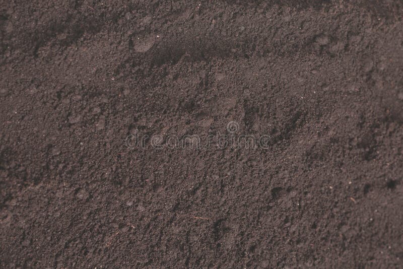 Black Land for Plant Background. Top View Stock Photo - Image of view ...
