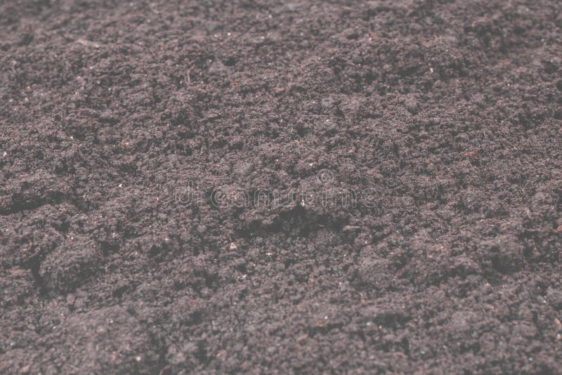 Black Land for Plant Background. Top View Stock Photo - Image of view ...