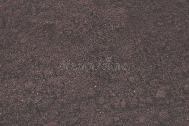 Black Land for Plant Isolated on White Background Stock Photo - Image ...