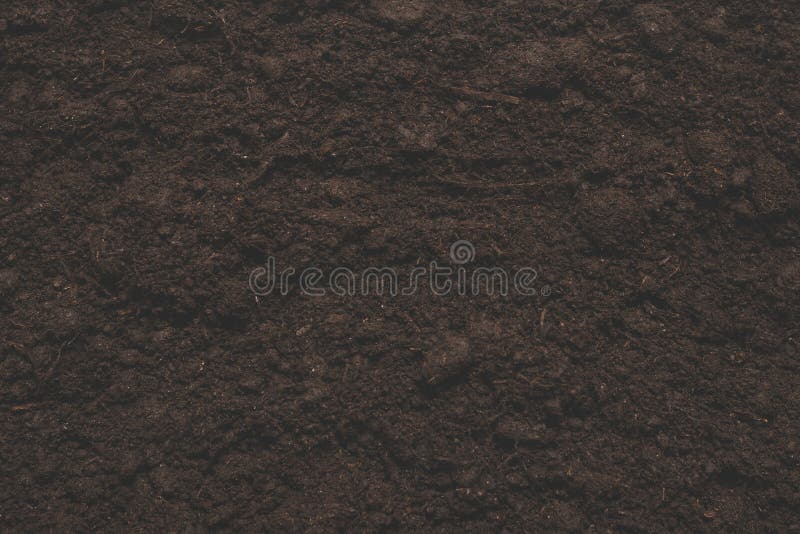 Black Land for Plant Isolated on White Background Stock Photo - Image ...