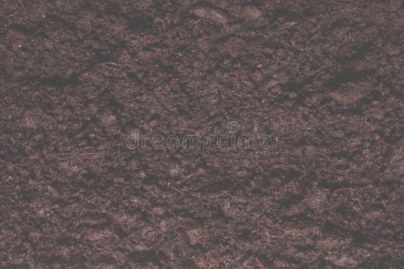 Black Land for Plant Isolated on White Background Stock Photo - Image ...