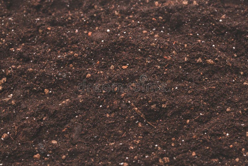 Black Land for Plant Isolated on White Background Stock Photo - Image ...