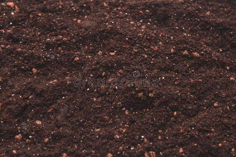 Black Land for Plant Isolated on White Background Stock Image - Image ...