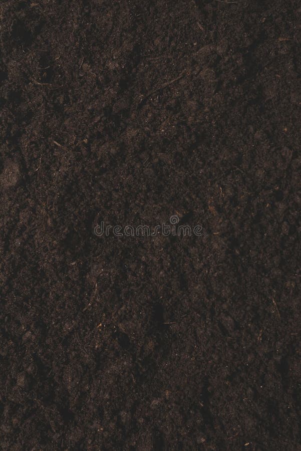 Black Land for Plant Background Stock Photo - Image of land, growth ...