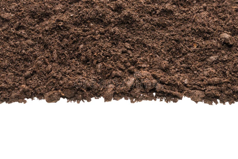 Black land for plant stock photo. Image of gardening - 204493806