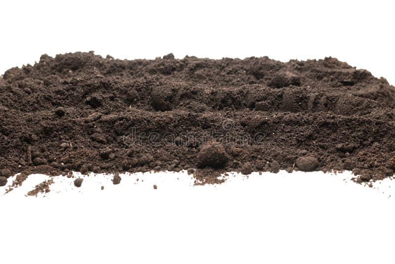 Black Land for Plant Isolated on White Background Stock Image - Image ...