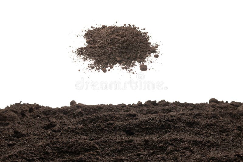 Black Land for Plant Isolated on White Background Stock Image - Image ...