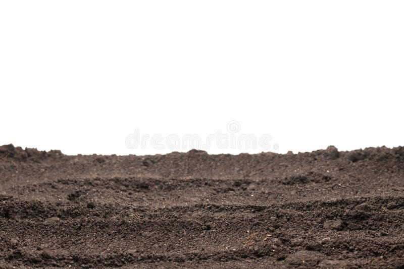 Black Land for Plant Isolated on White Background Stock Image - Image ...