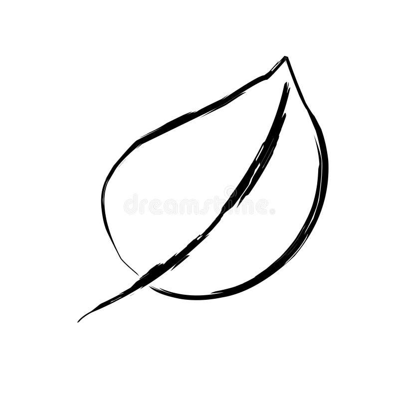 Leaflet Leaf Hand Brush Drawing Minimalistic Isolated Stylized Digital ...