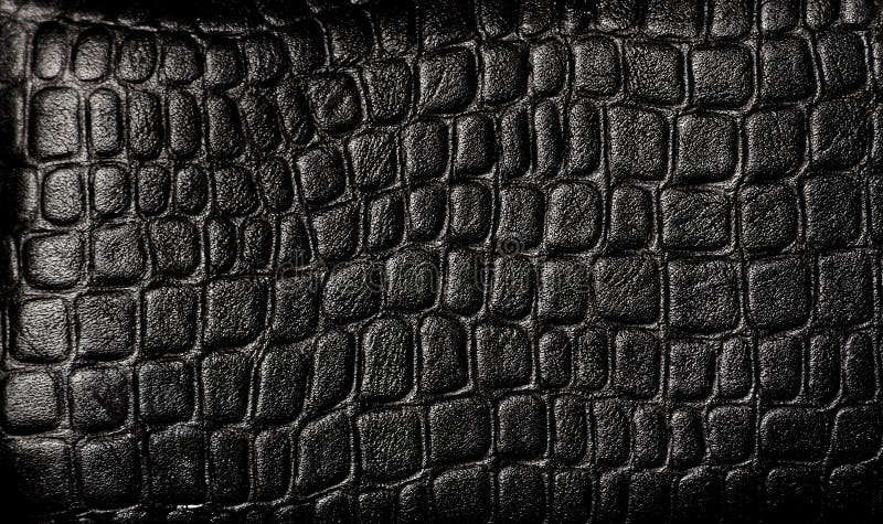 Black Patent Leather Texture