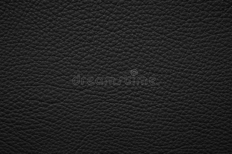 22,098 Hide Texture Stock Photos - Free & Royalty-Free Stock Photos ...