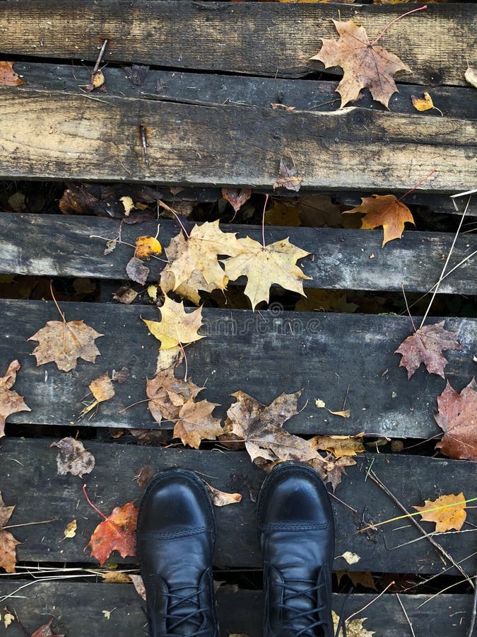 Black Leather Boots for Fall Foliage View Stock Photo - Image of view ...
