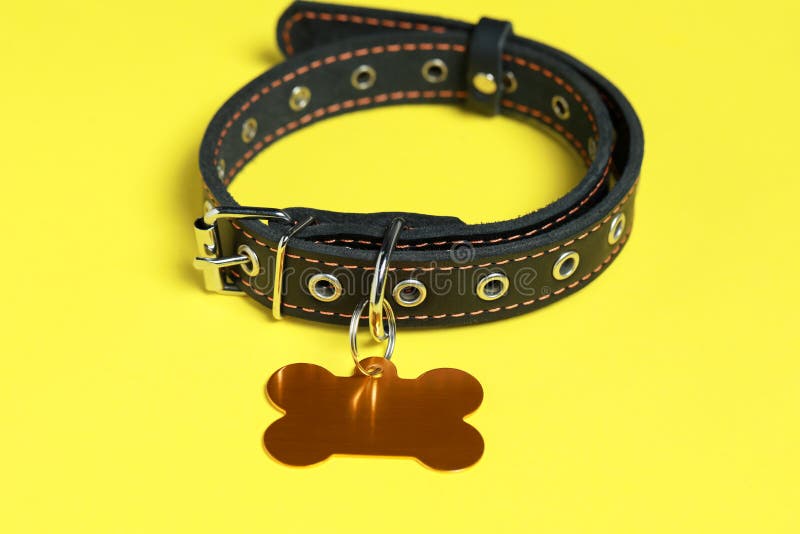 Black Leather Dog Collar with Golden Tag in Shape of Bone on Yellow ...