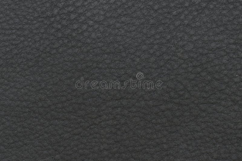 Leather jacket texture. stock photo. Image of gray, cover - 226305292