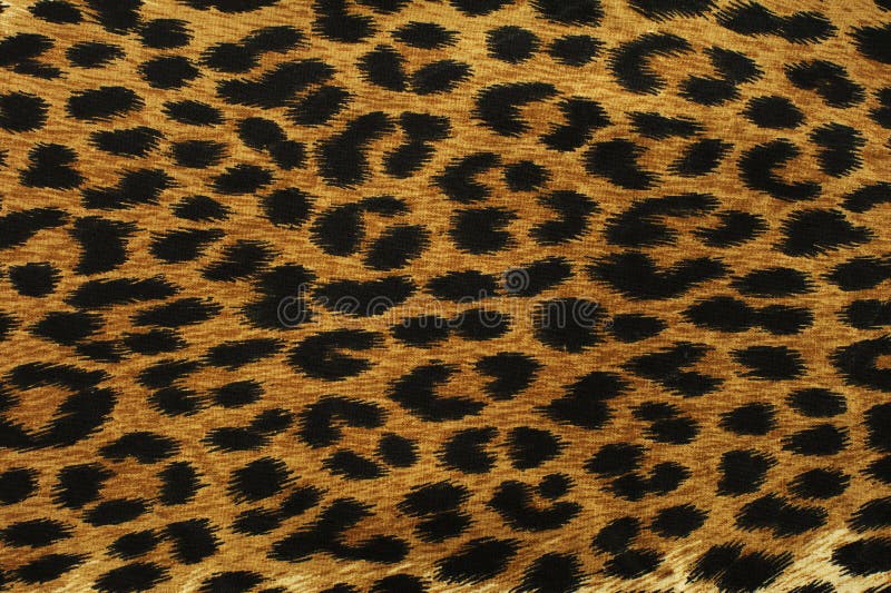 Black leopard spots stock image. Image of closeup, dots - 44057549