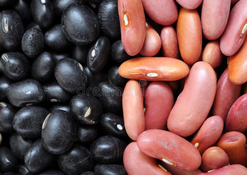 Black and light red bean stock photo. Image of plant - 30564792