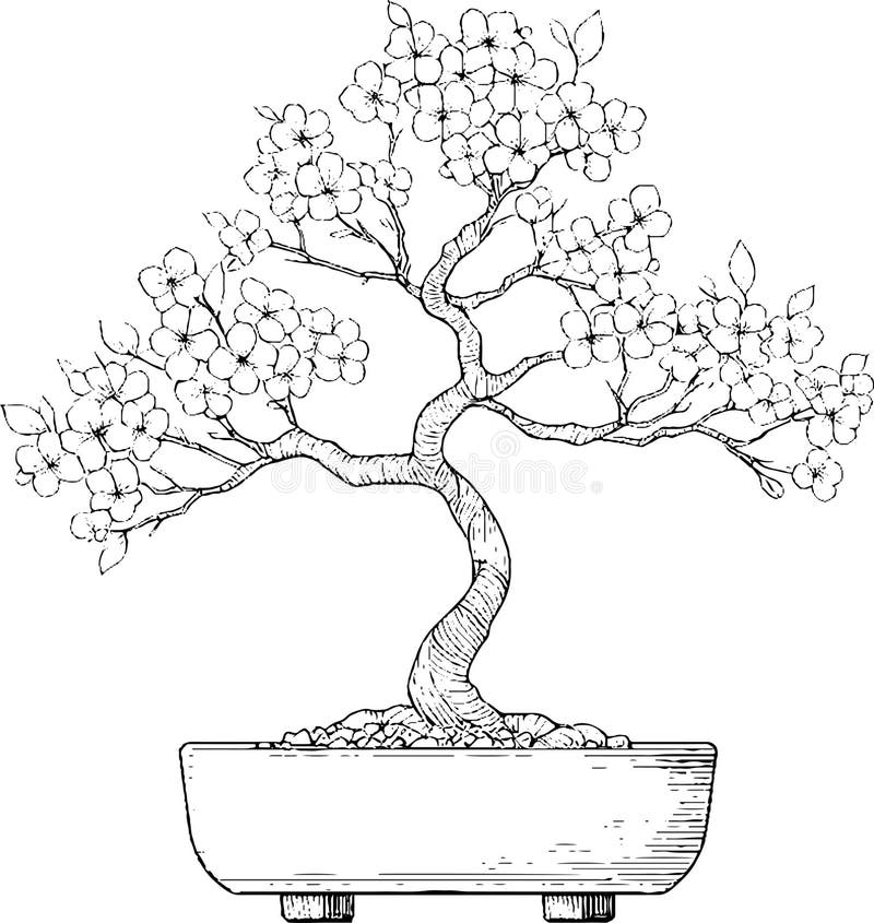 Black Line Art Beautiful Sakura Tree Decorative Hand Drawn Illustration ...