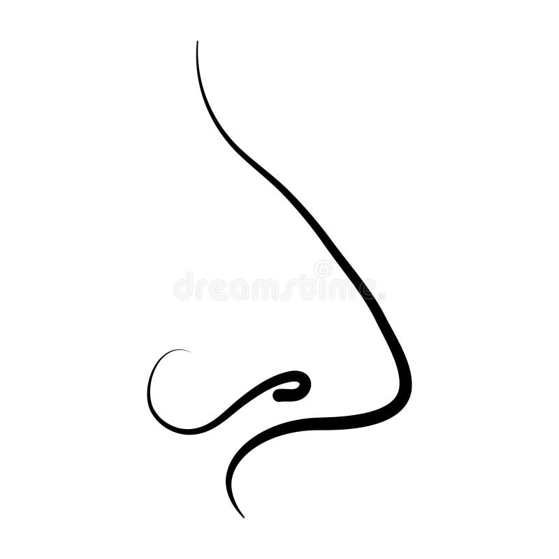 Black Line Art Nose Icon, Nose Face Human, Anatomy Body Stock Vector ... Black Line Art Nose Icon, Nose Face Human, Anatomy Body Stock Vector ...