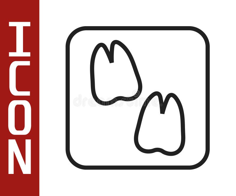 Camel Footprint Stock Illustrations – 442 Camel Footprint Stock ...