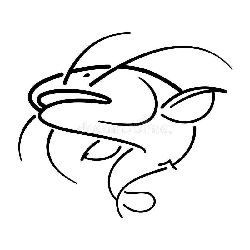 Catfish Vector Line Drawing Stock Illustrations – 209 Catfish Vector ...