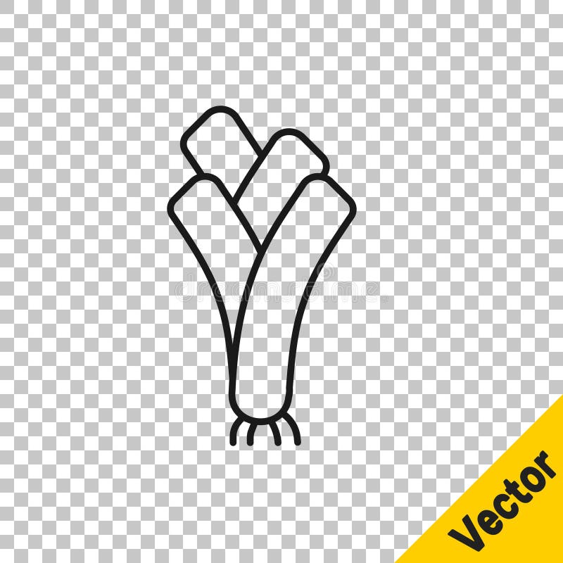 Black Line Leek Icon Isolated on Transparent Background. Vector Stock ...