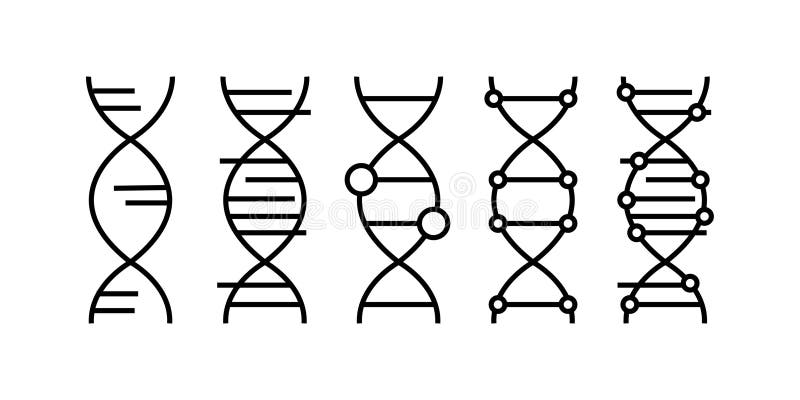Black Linear Dna Icons Set. Concept of Genetic Engineering, Study of ...
