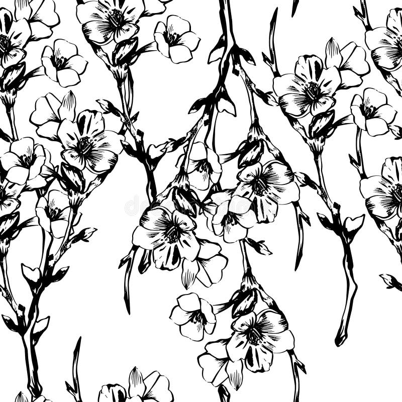 Black Lined Sakura Hand Drawn Seamless Pattern on White Background ...