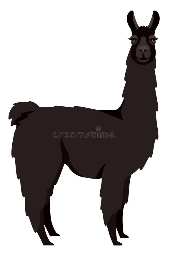 Black Llama Lama Glama Flat Vector Illustration Isolated Object Stock ...