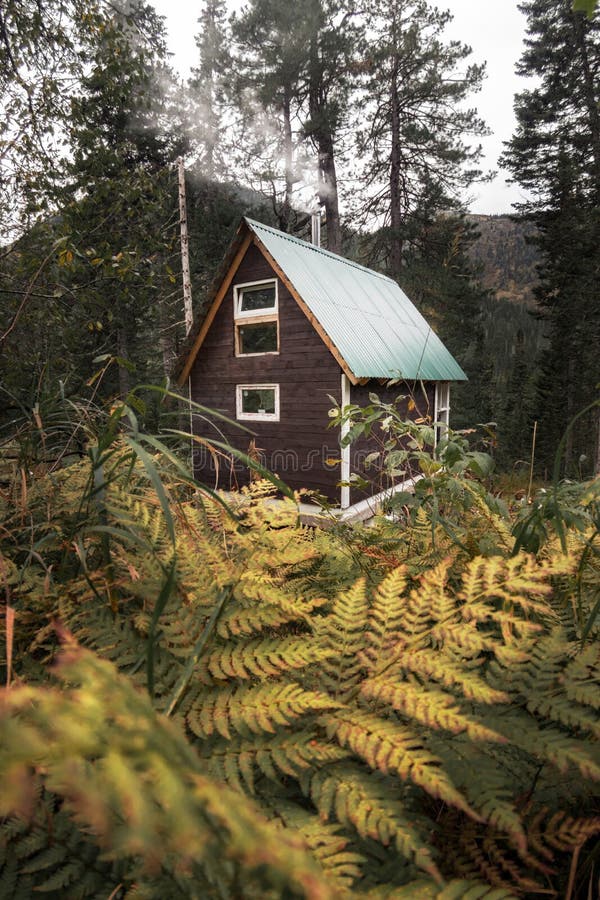 Black Log Cabin in a Wooded Setting during the Autumn Season Stock ...