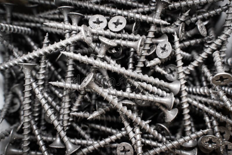 Black Long Self-tapping Screws Close-up in a Box. Wood Screws Stock ...