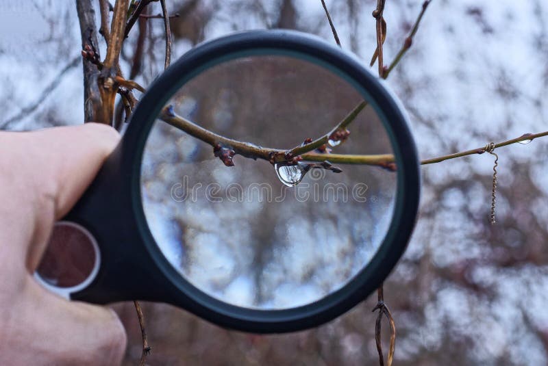 141 Water Security Research Stock Photos - Free & Royalty-Free Stock ...