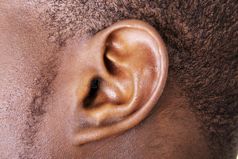 18,363 Human Ear Photos - Free & Royalty-Free Stock Photos from Dreamstime
