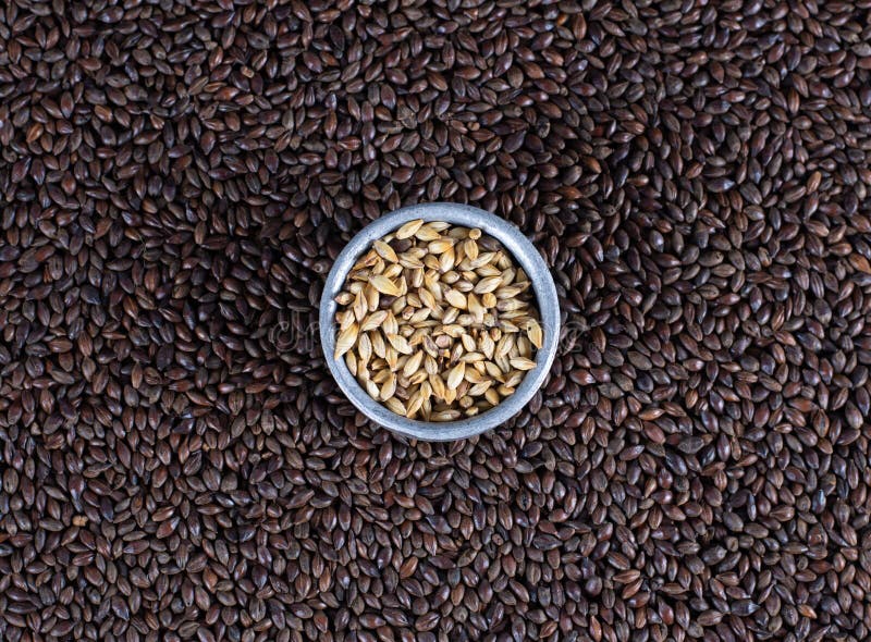 Black Malt Background with a Metal Rim with Pale Malt, Craft Beer ...