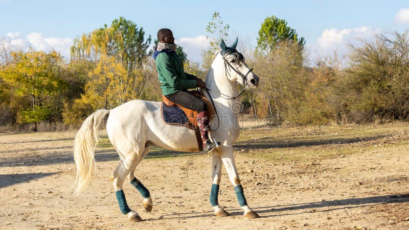 Black Man Riding a White Horse at the Farm. Stock Photo - Image of ...