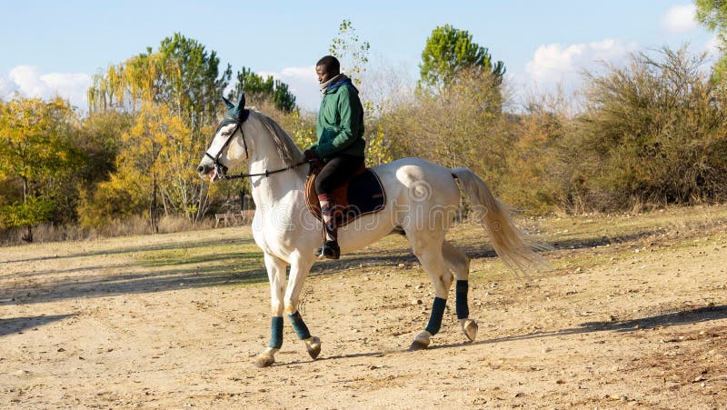 Black Man Riding a White Horse at the Farm. Stock Image - Image of ...