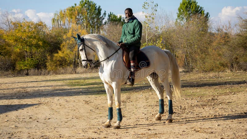 Black Man Riding a White Horse at the Farm. Stock Photo - Image of ...