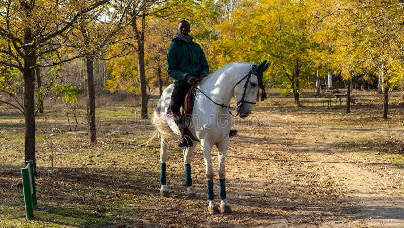 Black Man Riding a White Horse at the Farm. Stock Photo - Image of ...