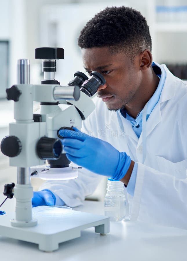 Black Man, Scientist and Microscope in Lab with Analysis for Test ...